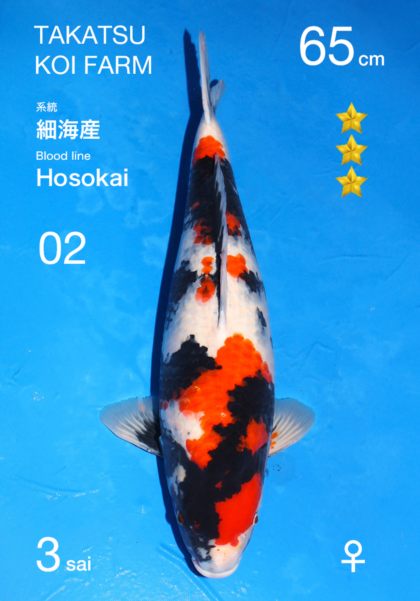 The 2nd Kyushu Web Auction