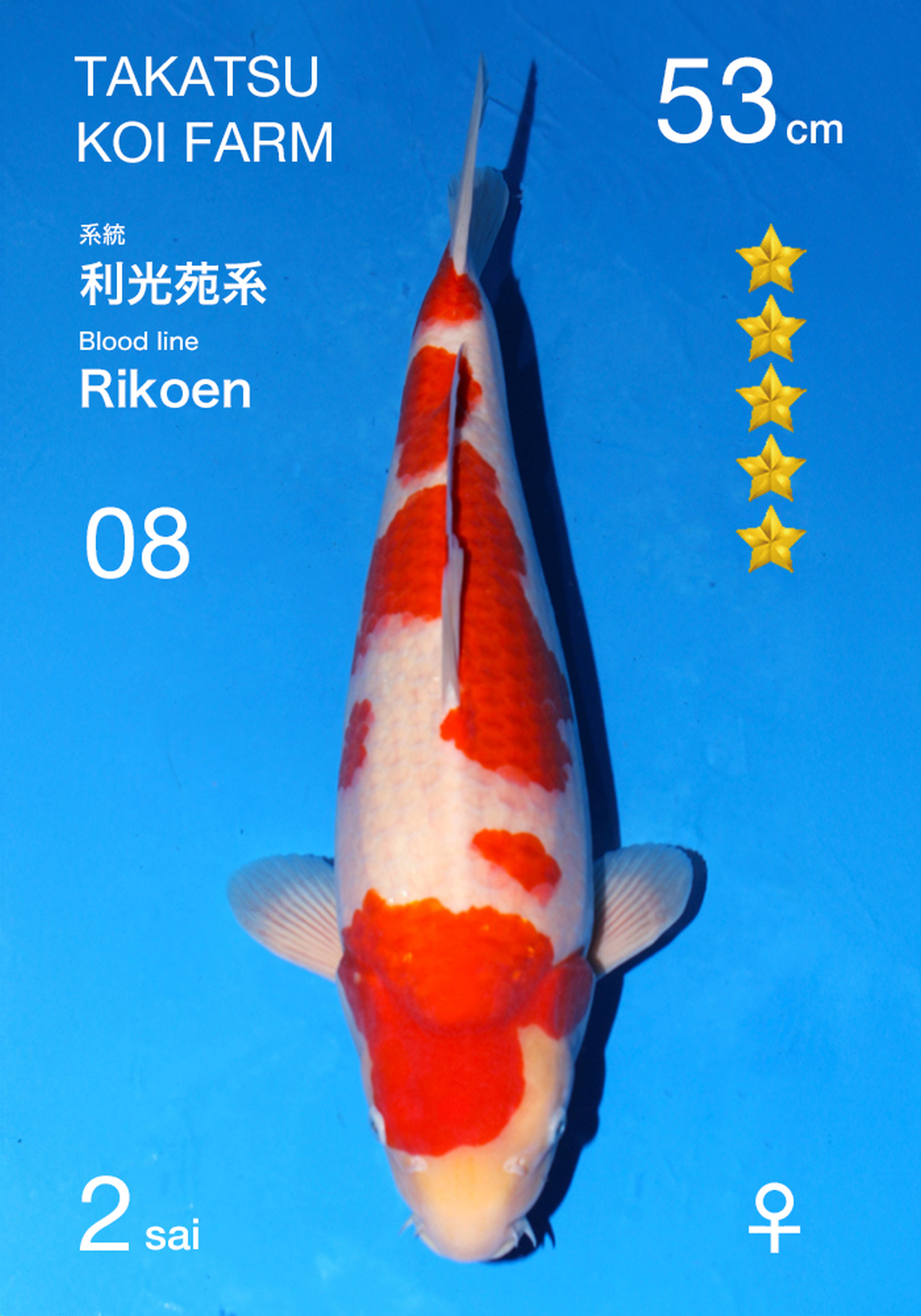 The 2nd Kyushu Web Auction