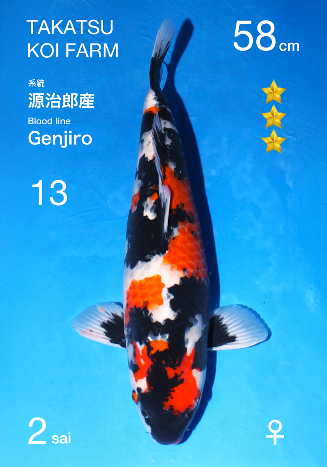 The 2nd Kyushu Web Auction