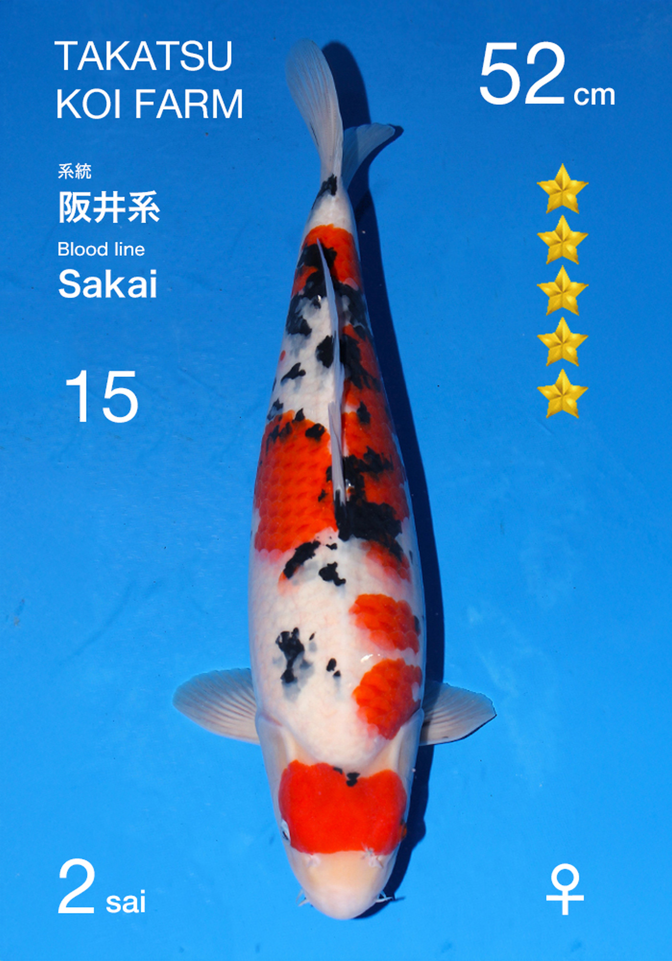 The 2nd Kyushu Web Auction